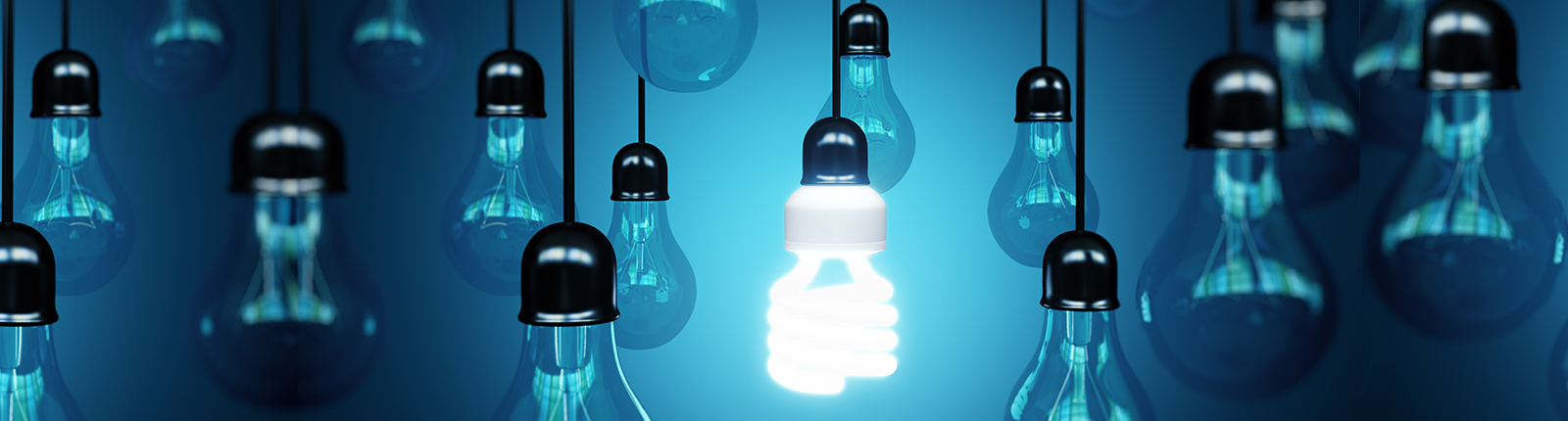 Energy Efficiency | TERI