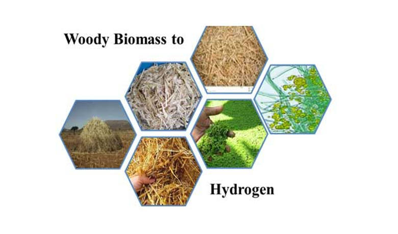 Producing hydrogen the biological way | TERI