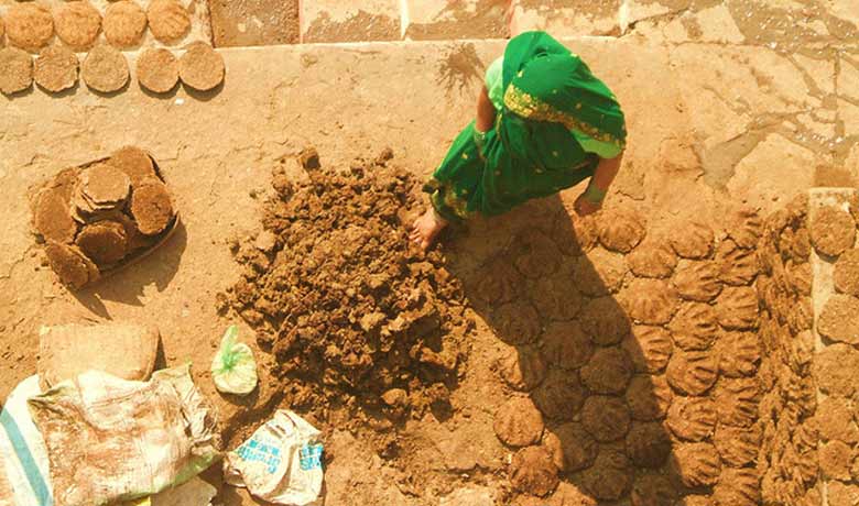 GOBAR-DHAN - Re-emphasizing India's traditional practices | TERI