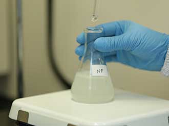 International conference explores nanotechnology-enabled natural ...