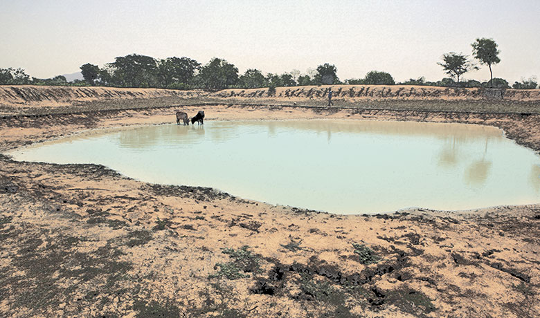 Reversing land degradation in India | TERI Reversing land degradation in India | TERI