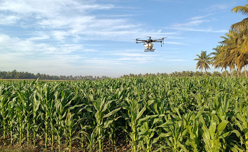 TERI team has developed nanofertilizers for climate smart agriculture ...