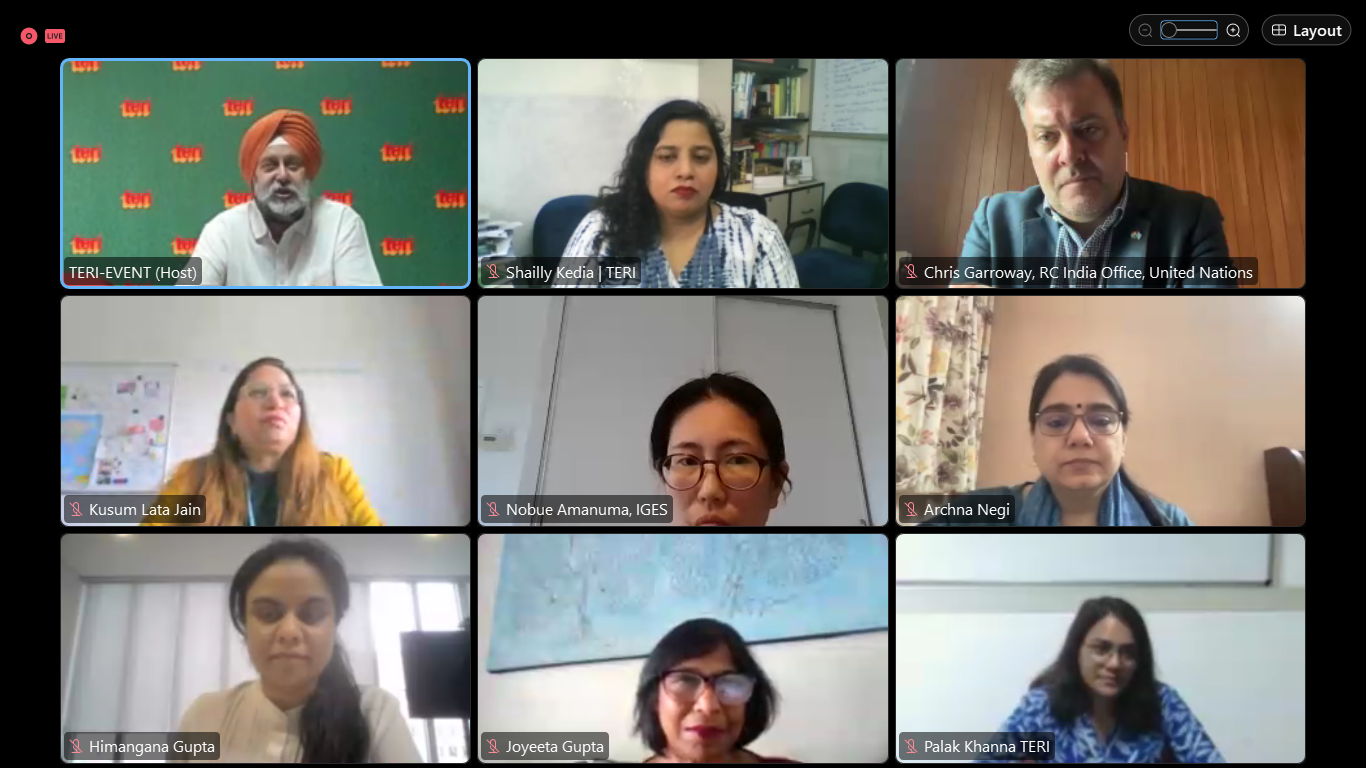 Global experts convene at TERI's Act4Earth Dialogue to promote SDG ...