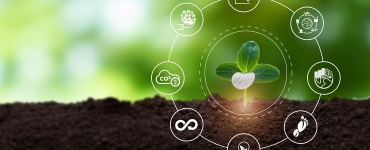 Centre for Sustainable Development Research & Leadership | TERI